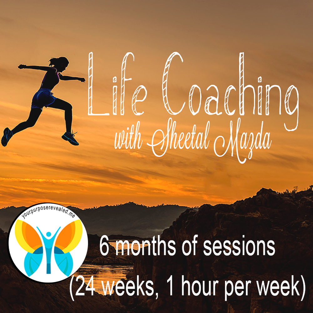 Life Coaching 6 Months 24 Sessions 