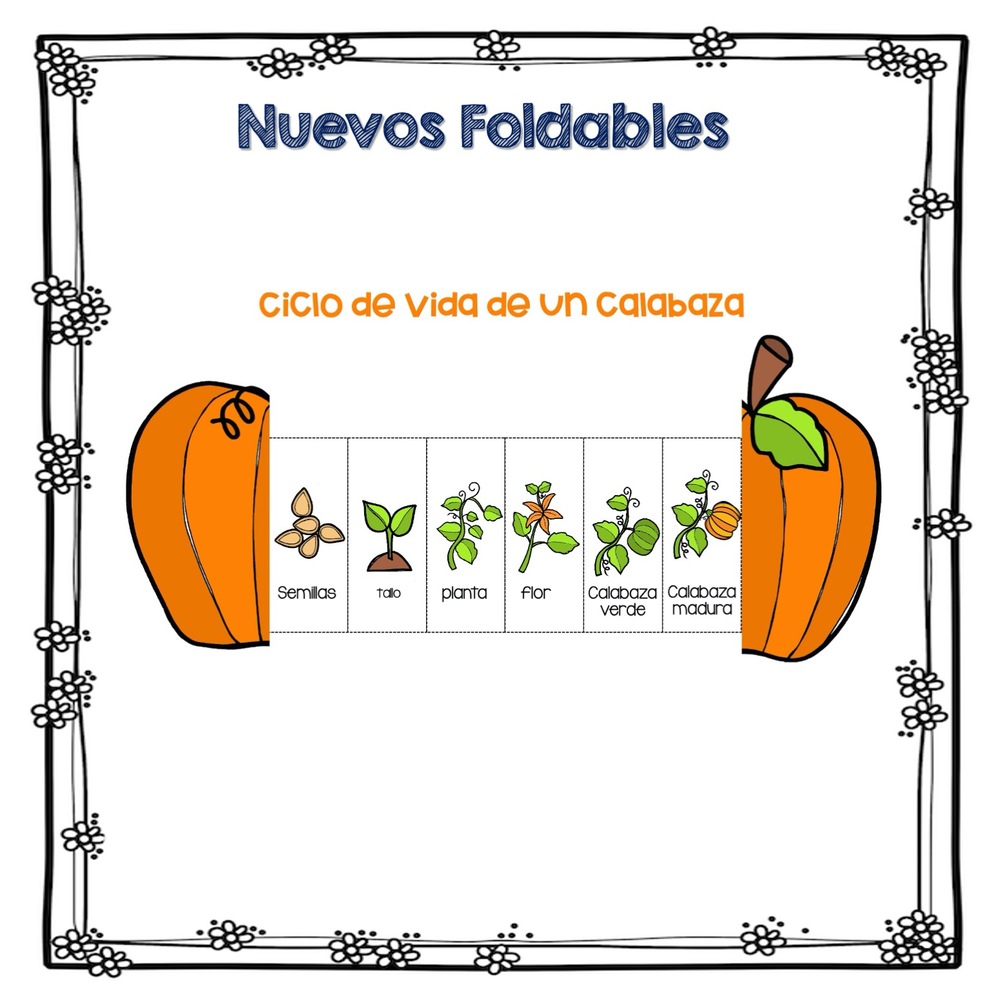 Colección de 7 nuevos foldables manipulativos