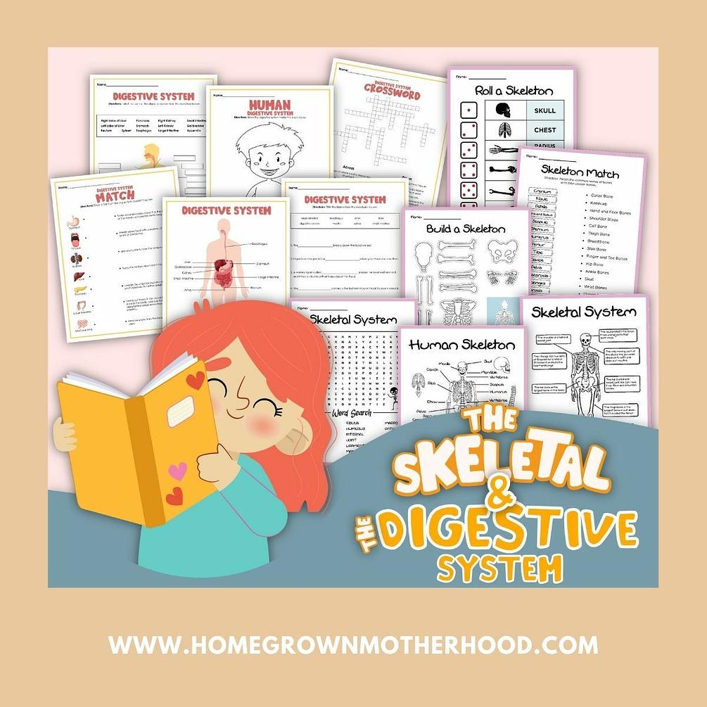 The Skeletal & Digestive System Pack Bundle