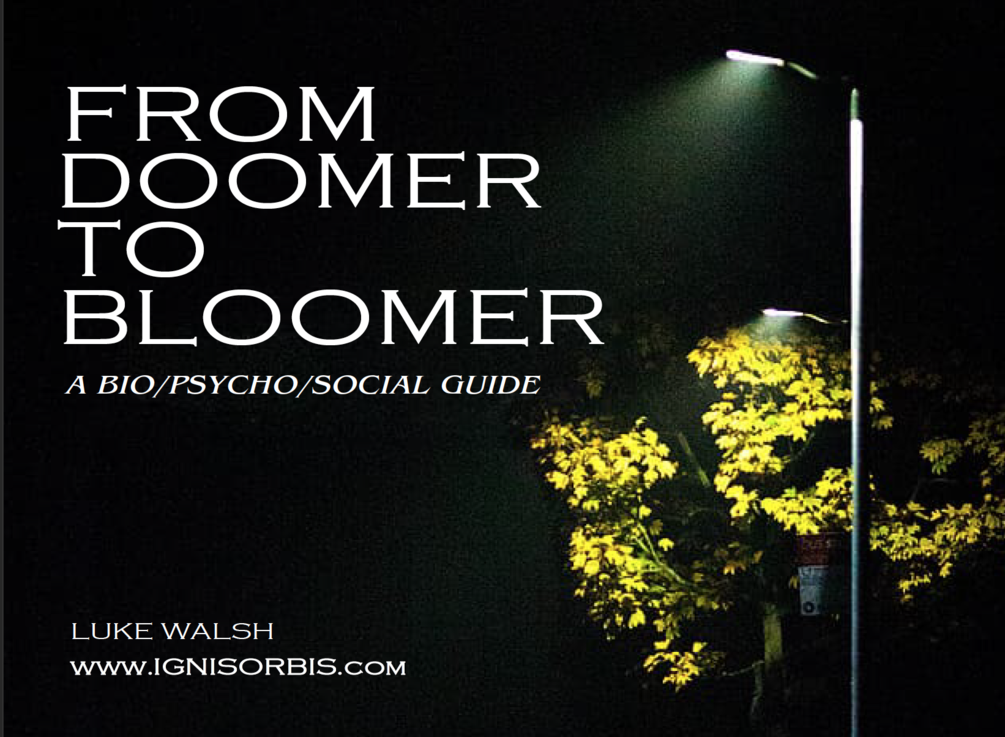 From Doomer To Bloomer: A Bio/Psycho/Social Guide