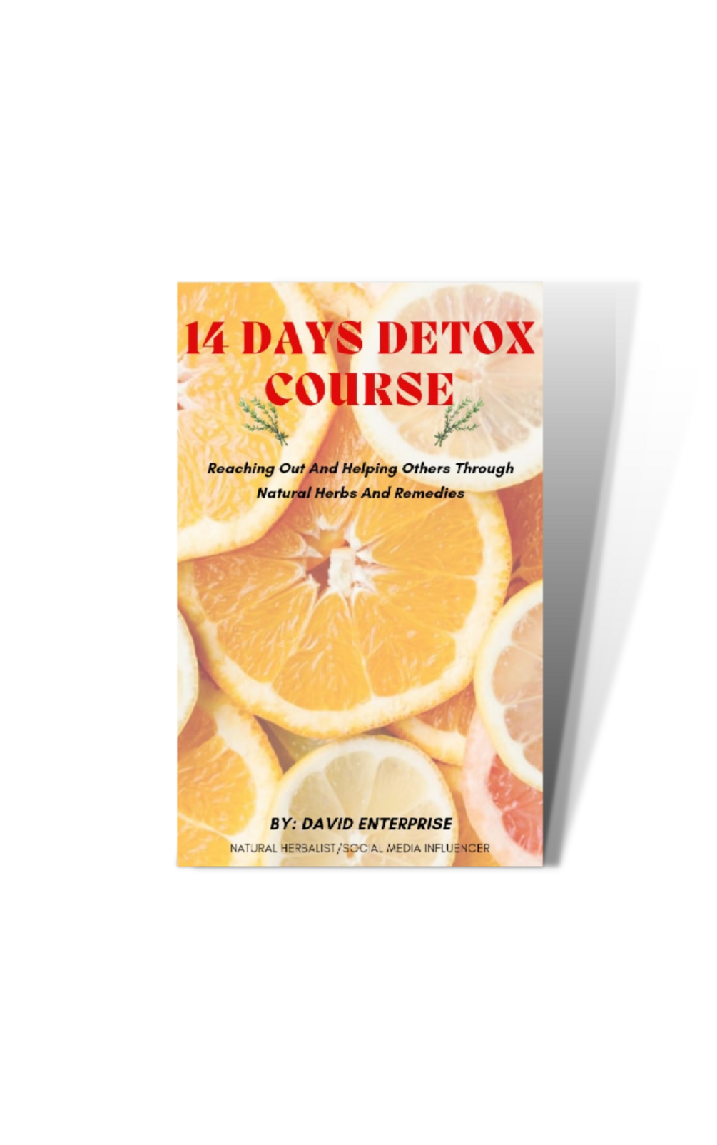 14 DAYS DETOX COURSE GUIDE