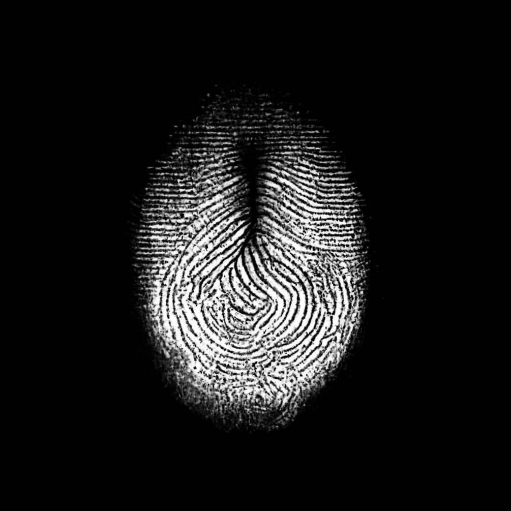 5 Free Fingerprint Alphas