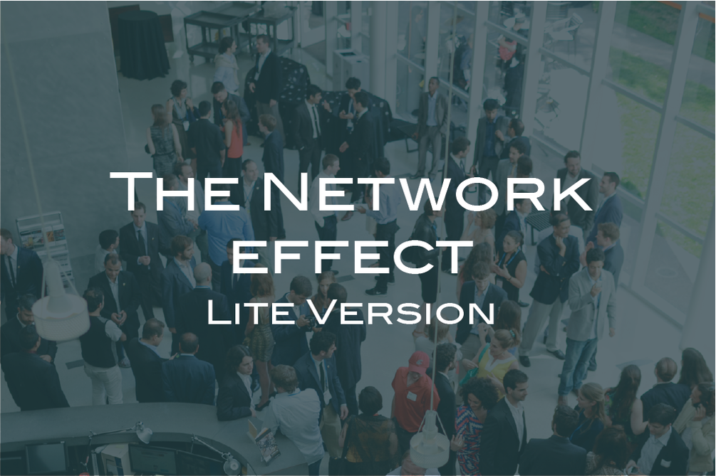 The Network Effect - Lite Version
