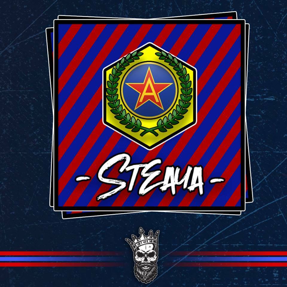 Sticker Steaua dungi
