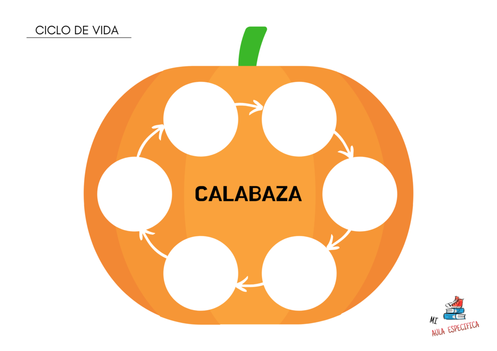 Ciclo vida Calabaza