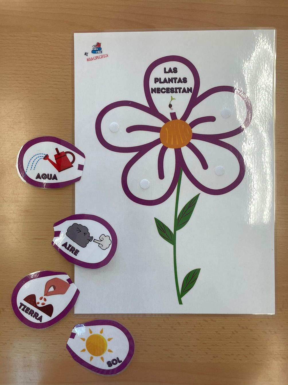 Qué necesita una planta