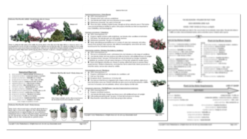 Pollinator Plot - Zone 4-a-b - SHADE