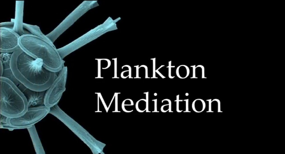 Plankton Meditation