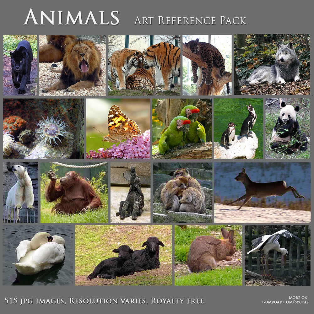 Animals - Art Reference Pack (500+ images)