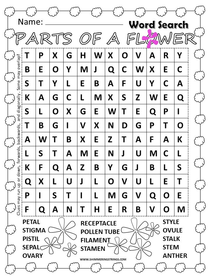 'Parts of a Flower' Word Search Printable Puzzle