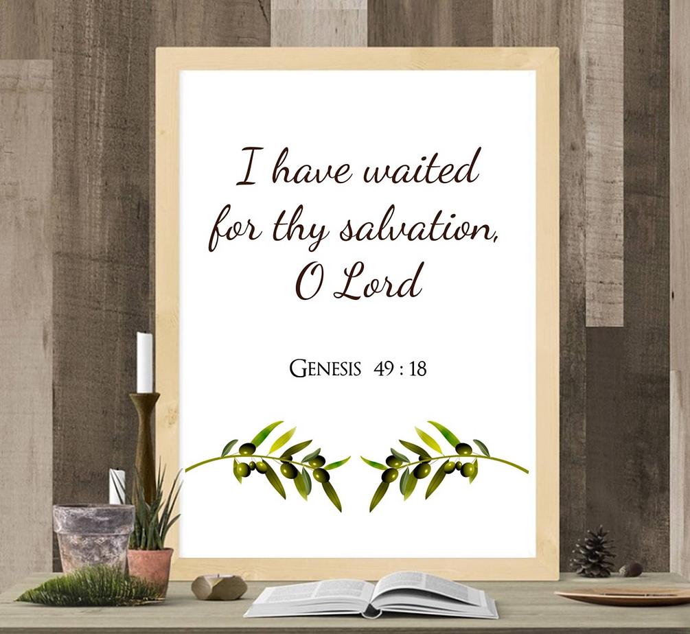 Genesis 49 - 18