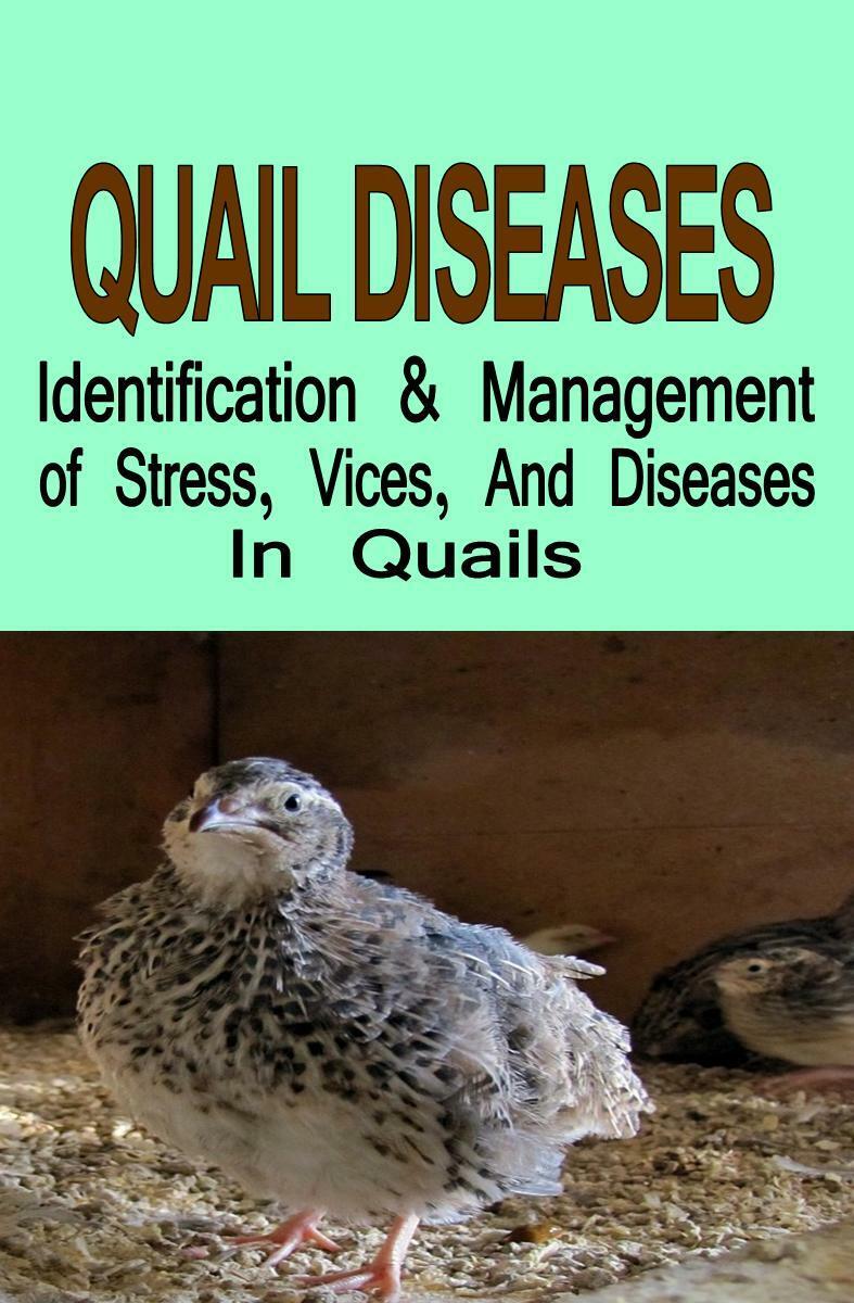 Quail Diseases: IIdentification And Management of Stress, Vices, And ...