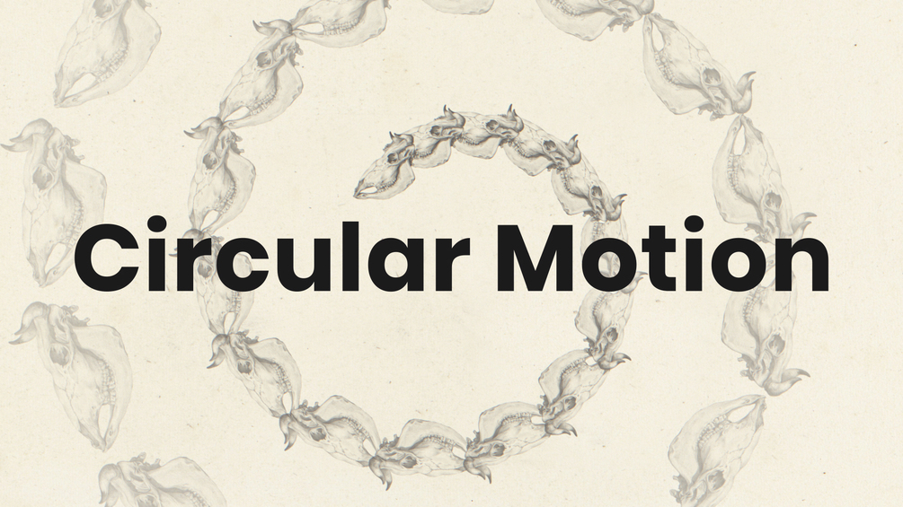 Circular Motion Preset for After Effects