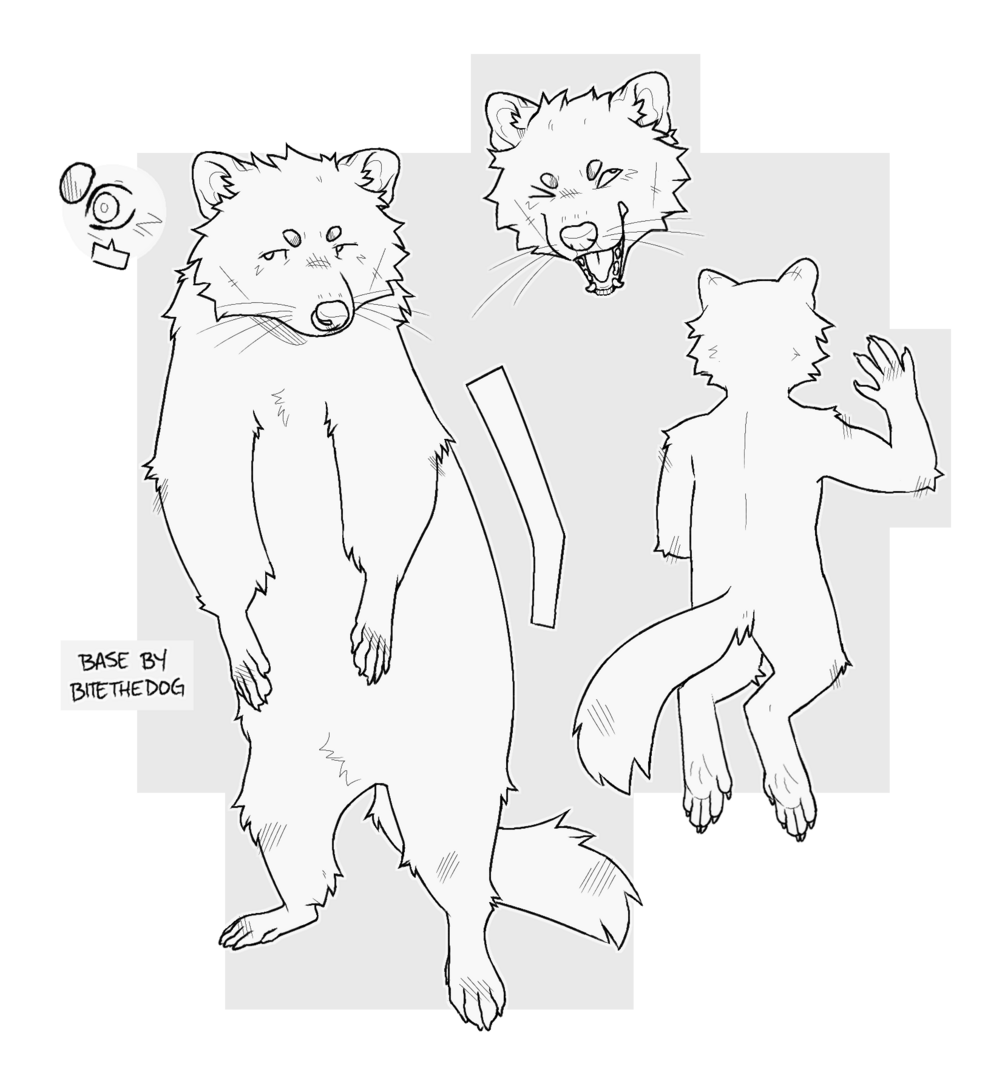 Racoon Base 02