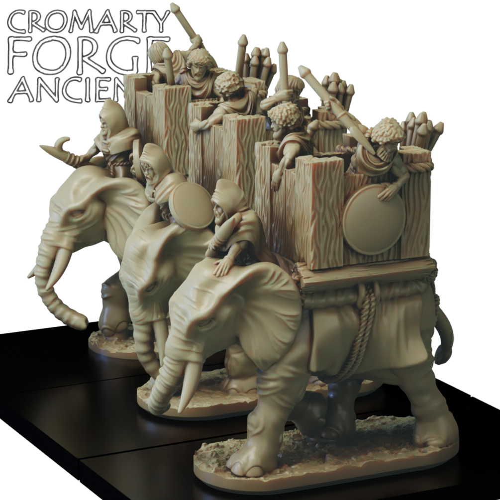 10mm Numidians: Elephants