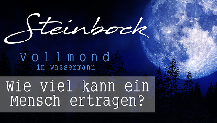 STEINBOCK Extended Wie viel kann ein Mensch ertragen?