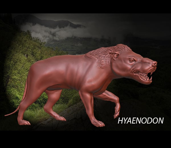 HYAENODON (Hyaenodon horridus)