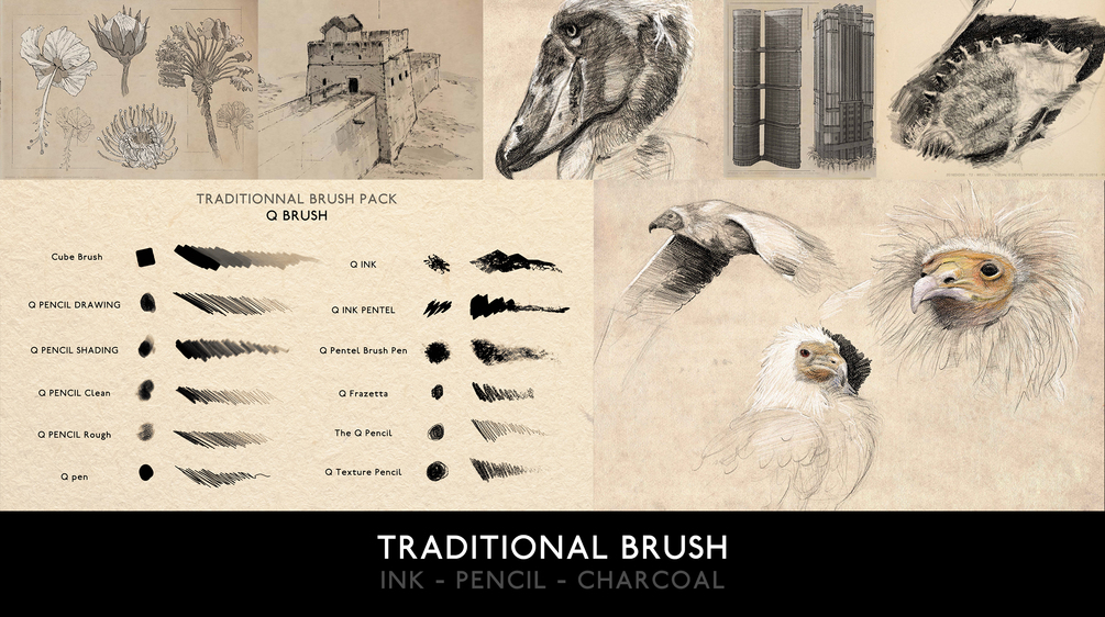 TRADITIONAL BRUSH