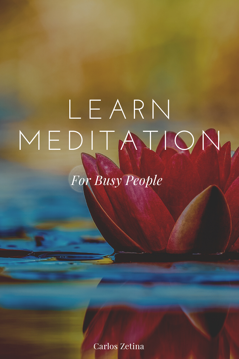 Learn Meditation (For Busy People)