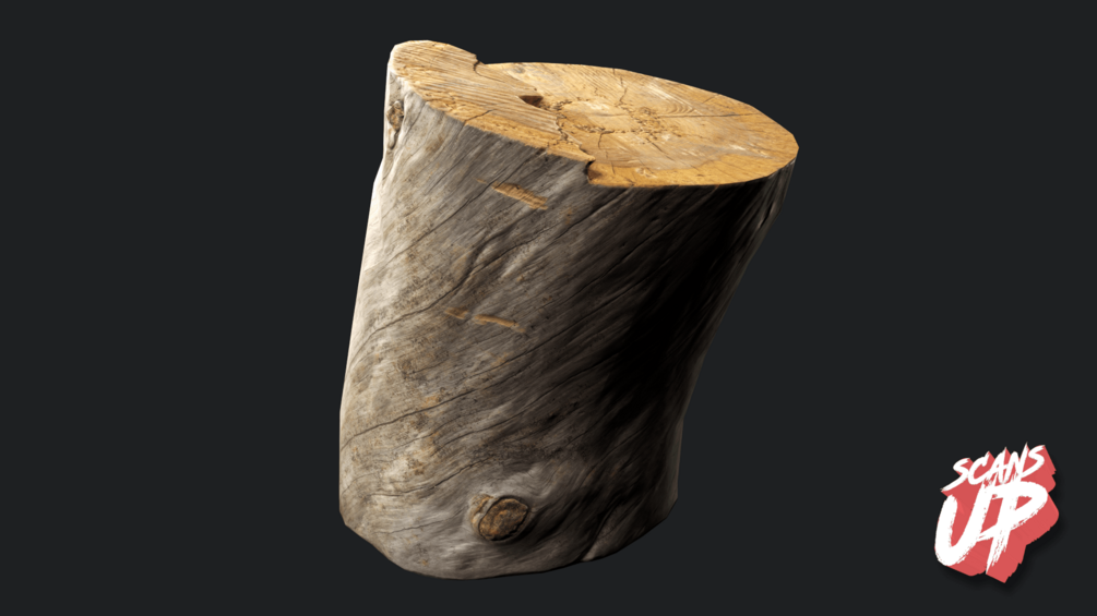 ScansUp: Silver Log 03 - Photogrammetry Asset