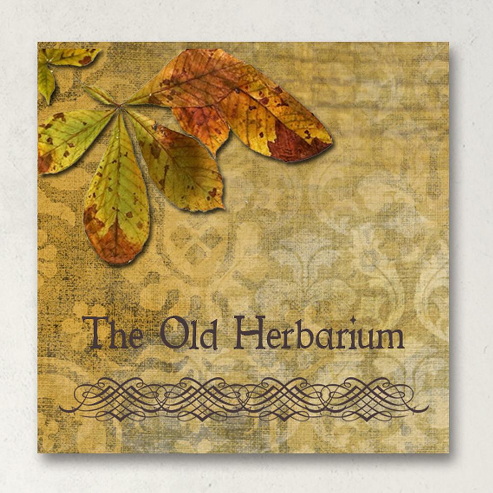 The Old Herbarium Etsy Shop BIG COVER Set