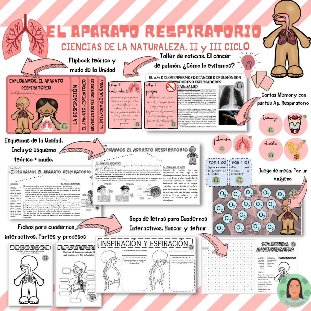 PACK EL APARATO RESPIRATORIO