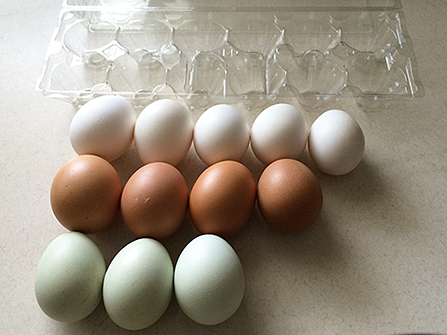 Counting Sorting & Patterns with Eggs Packet