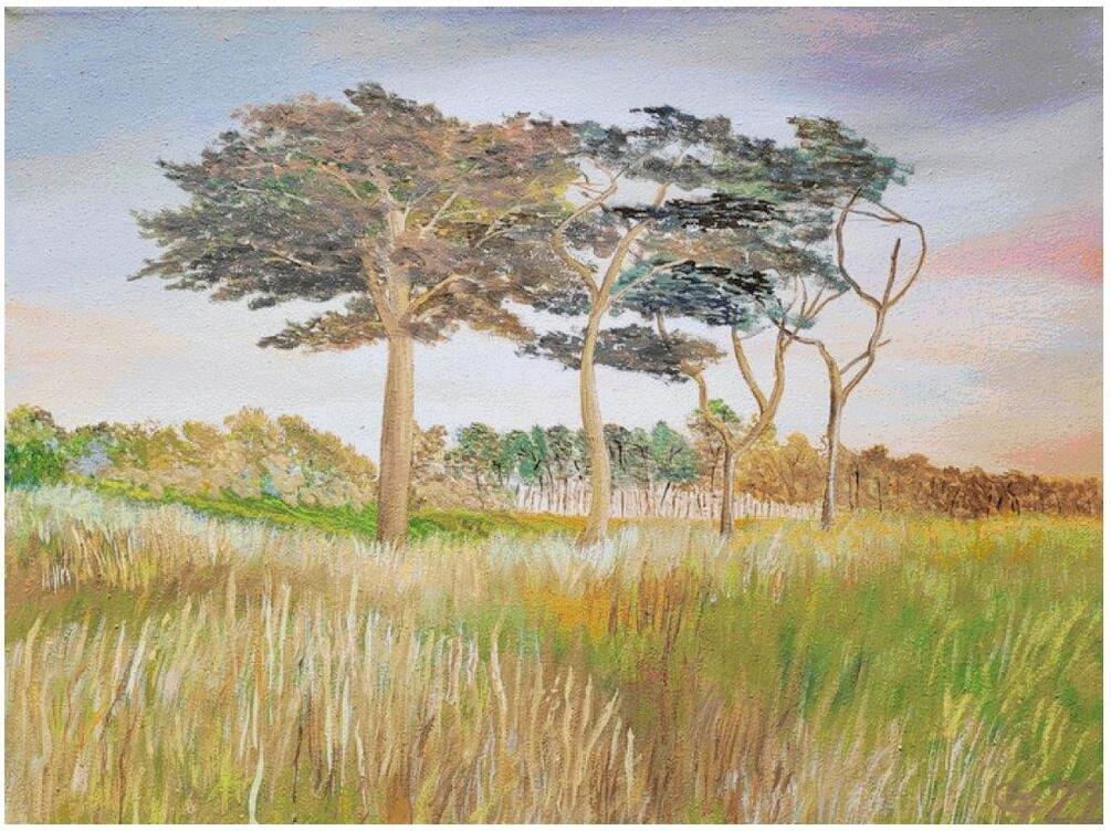 Digital Cross Stitch Pattern "Windflüchter_Darß" (Pattern Keeper ...