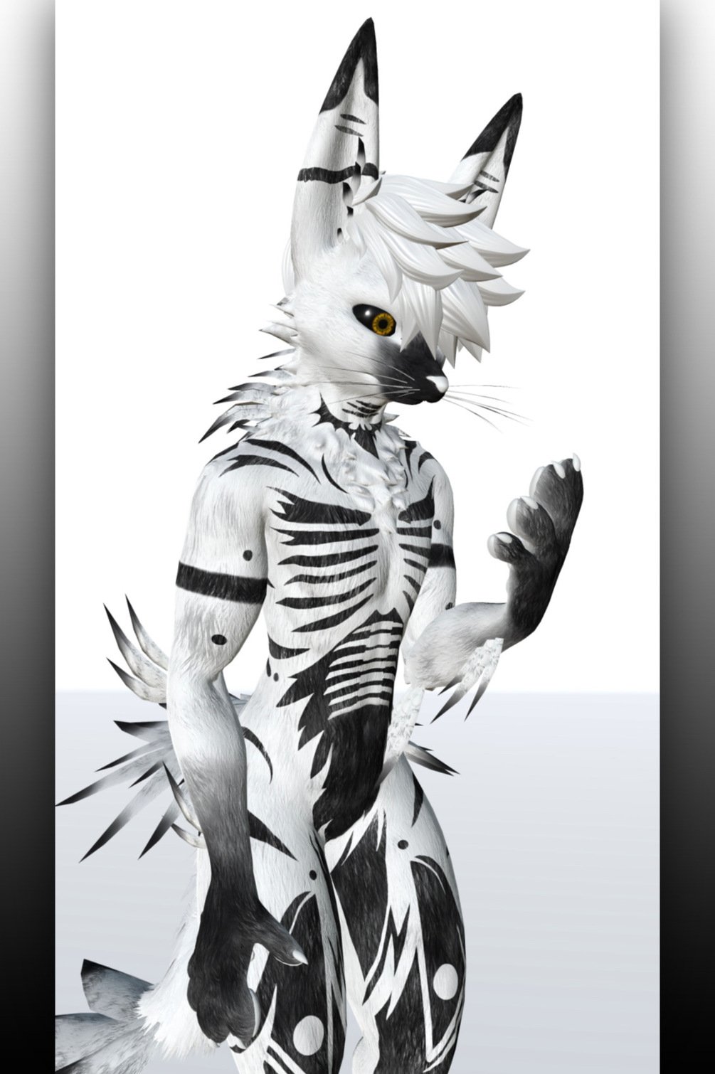 Rexouium Texture Mori & Luz