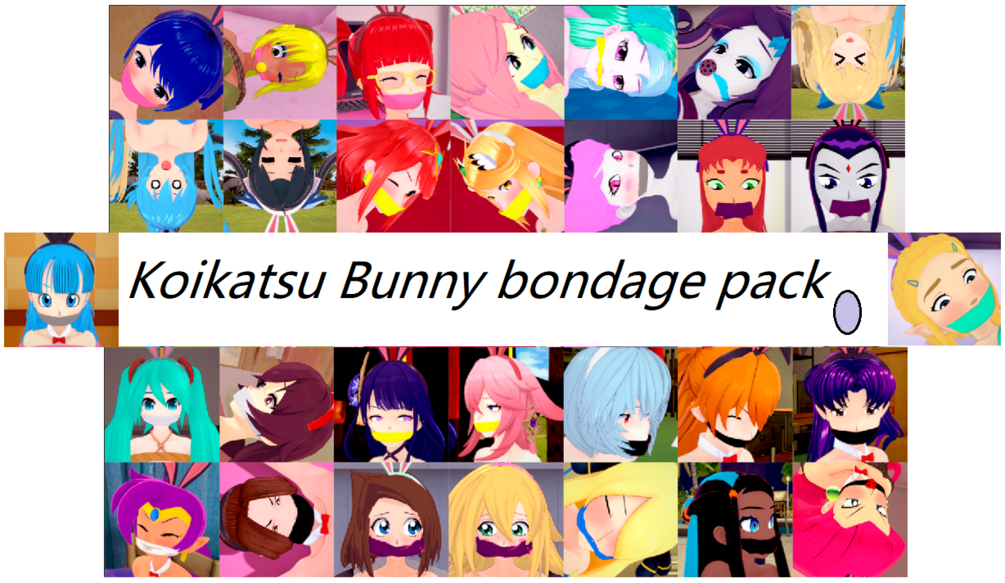 Koikatsu Bunny Pack
