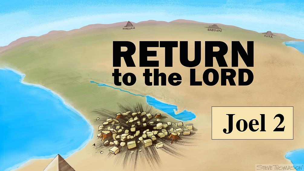 A Cartoonist's Guide to Joel