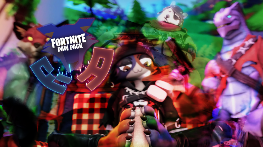 The Fortnite Paw Pack