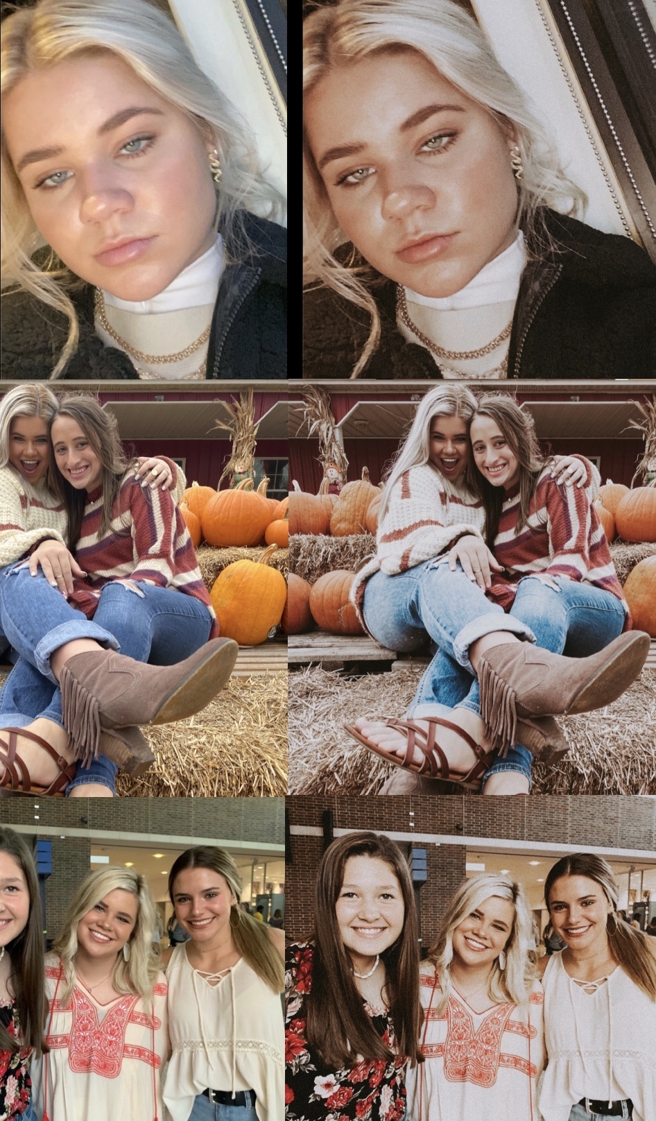 Bella Bird FINE Preset Collection
