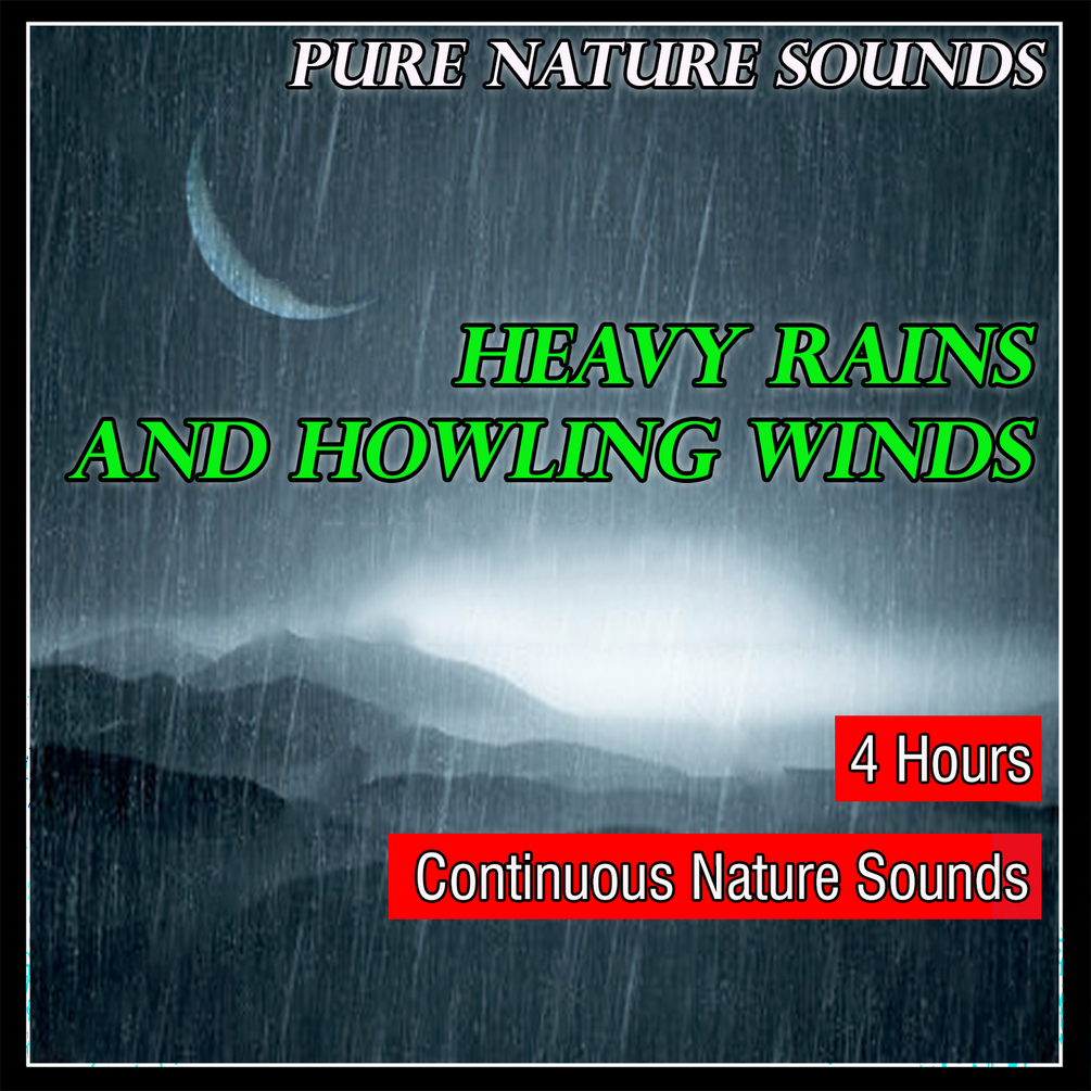 Heavy Rains and Howling Winds