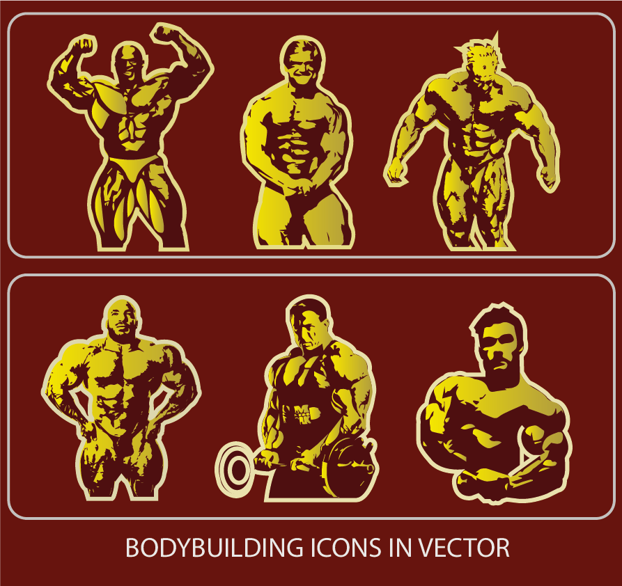 6 high quality body building icons in vector