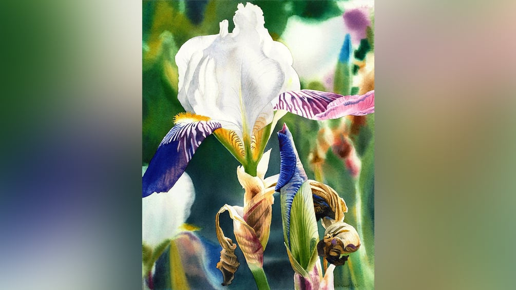 Translucent Iris - Tutorial