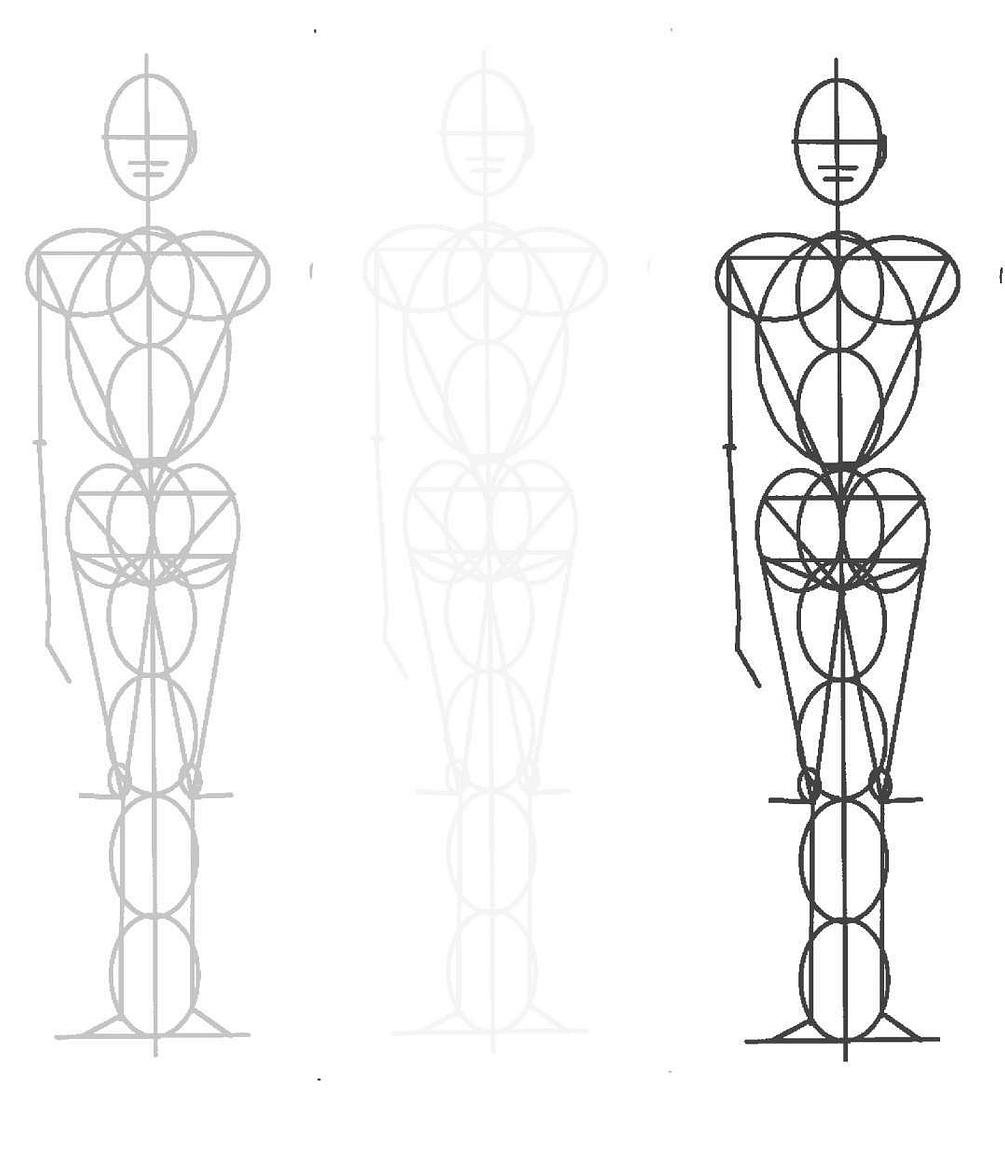 8 head proportion stamp