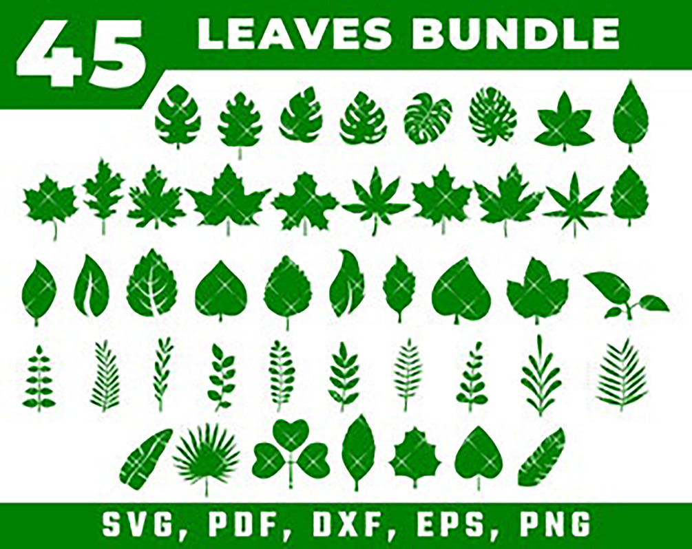 Leaves Bundle