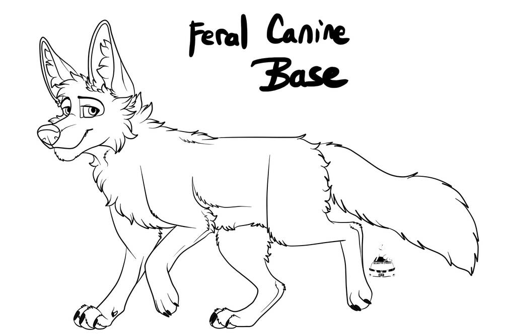 Feral Adopt or ref Base