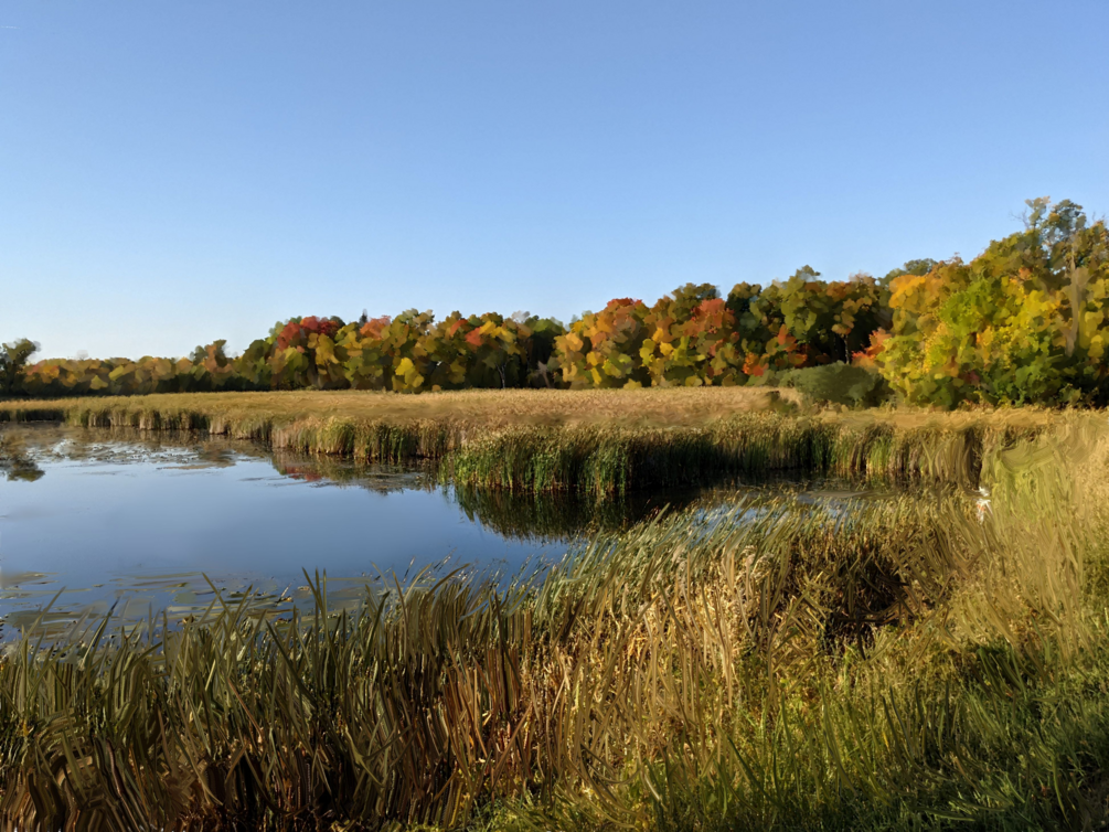 Lake Alvin Autumn 21