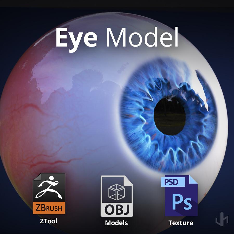 3D Eye Model