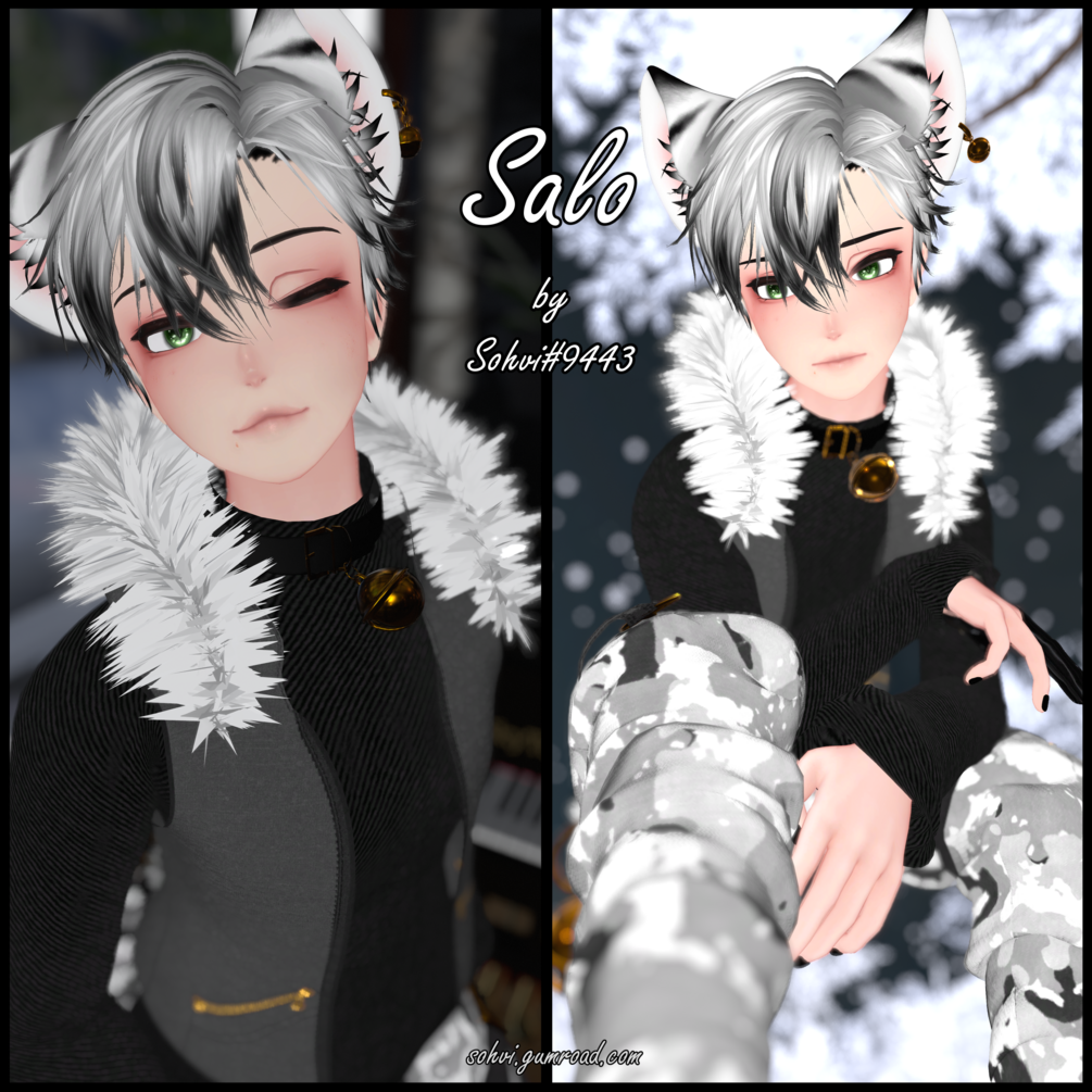 Salo (Full + Optimized)