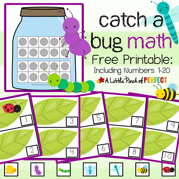 Catch a Bug Math Activity and Free Printable
