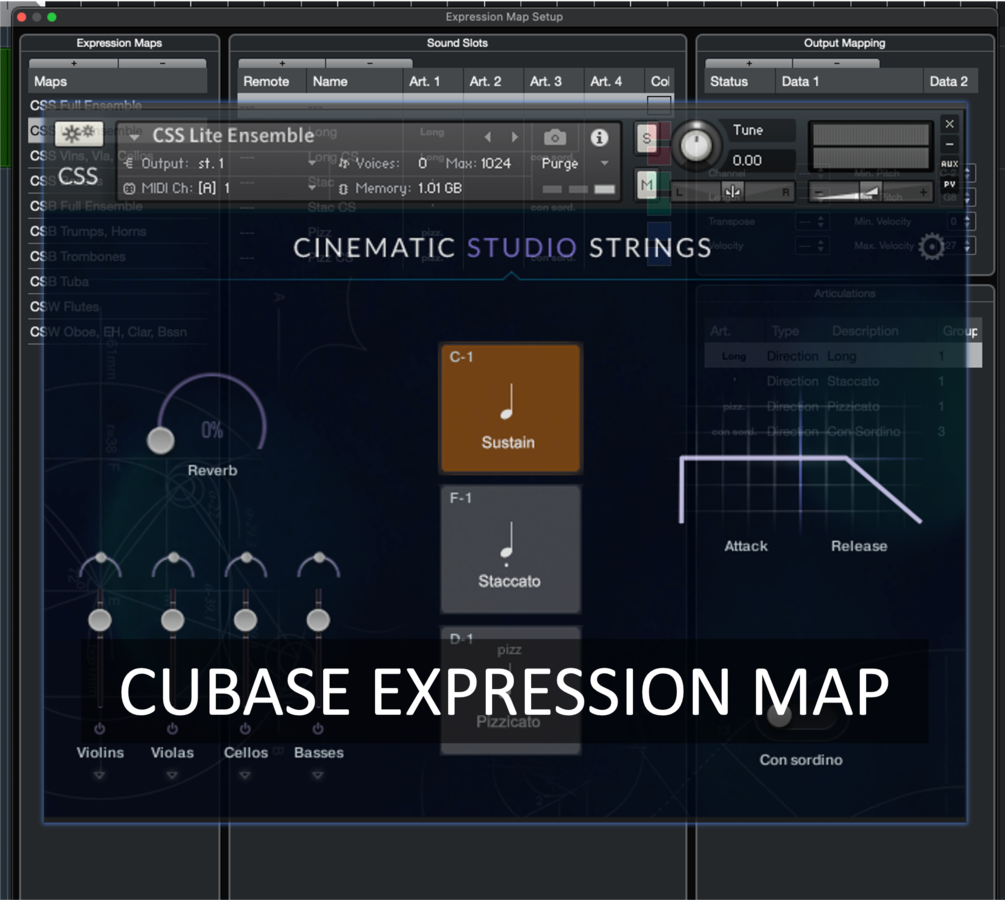 Cinematic Studio Strings Lite Ensemble Cubase Expression Map