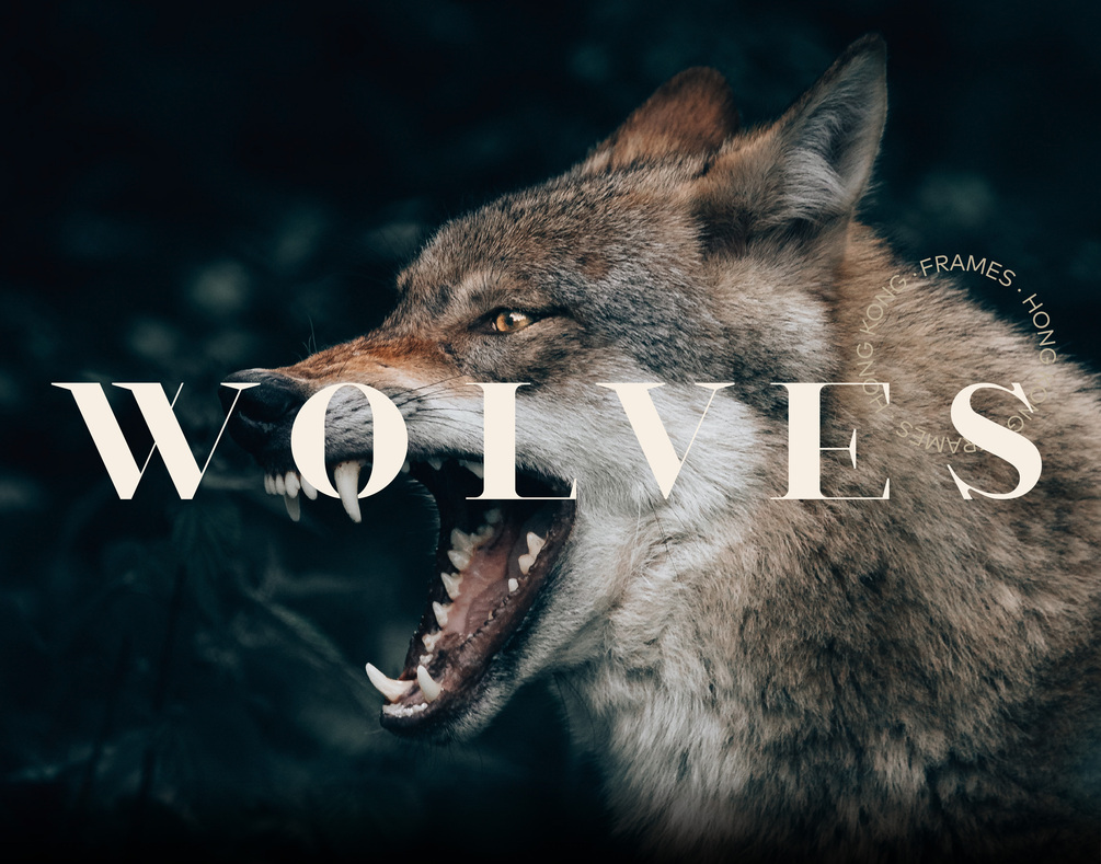 Wolves Font