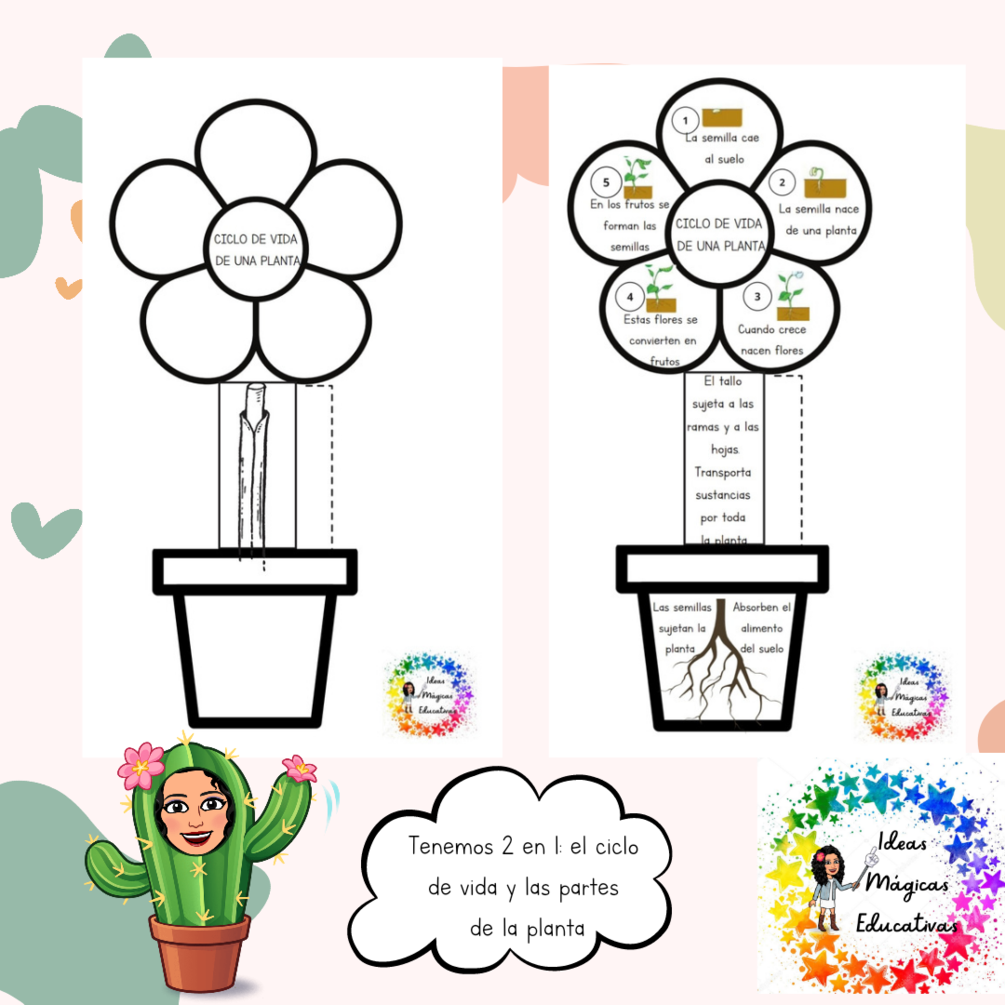 El ciclo de vida de una planta