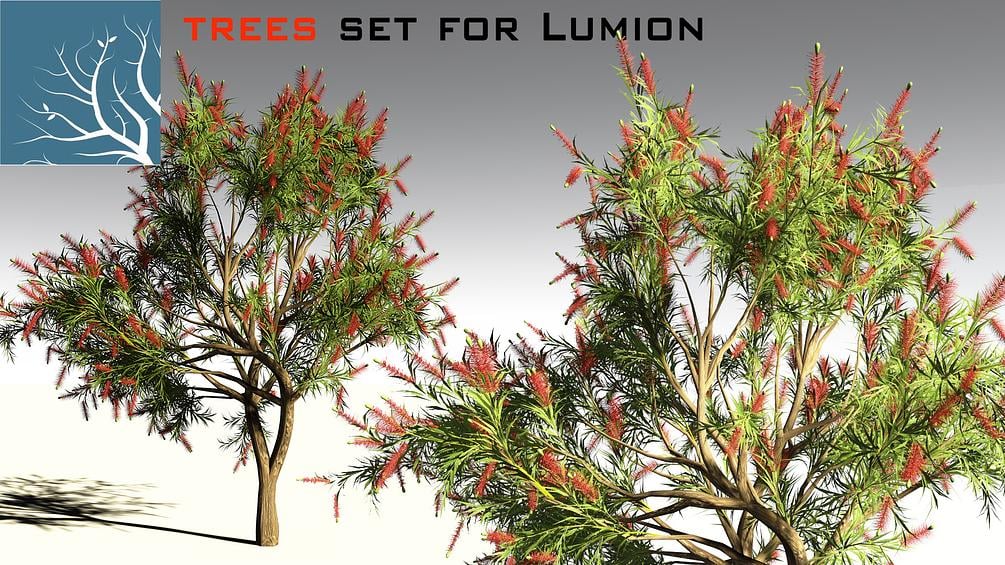 Beautiful tree for Lumion with high quality | Trees set 3