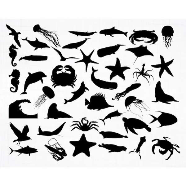 Sea Animals SVG Bundle, Sea Creatures SVG, Sea Creatures Clipart, Cut ...