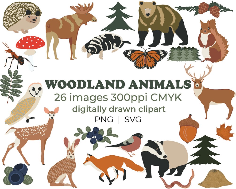 26 Woodland animals clipart, forest animals clipart, woodland svg ...