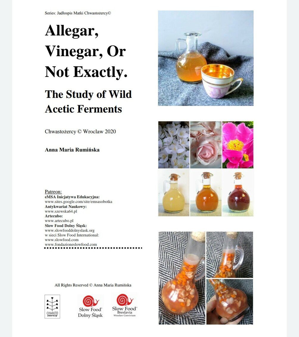 Allegar - Vinegar, Or Not Exactly. The Study of Wild Acetic Ferments